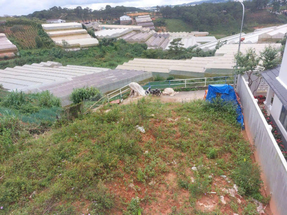 BÁN ĐẤT ĐƯỜNG MĂNG LIN, PHƯỜNG 7, TP. ĐÀ LẠT – FULL THỔ CƯ, VIEW RỪNG ...
