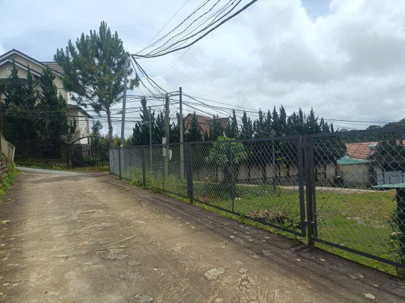 BÁN ĐẤT CAM LY – PHƯỜNG 7, ĐÀ LẠT, VIEW ĐỒI THÔNG VÀ ĐỒI MÂY TRẮNG